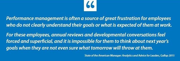 Het nieuwe beoordelen, Strengths-based Performance Management: Zwaktes ...