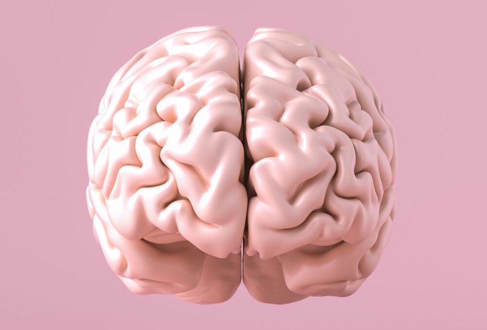 Verduurzamen: onze hersenen werken niet mee.